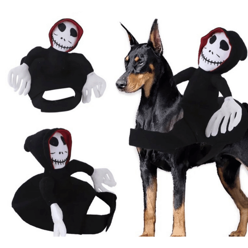 Skeleton – leperritz.co